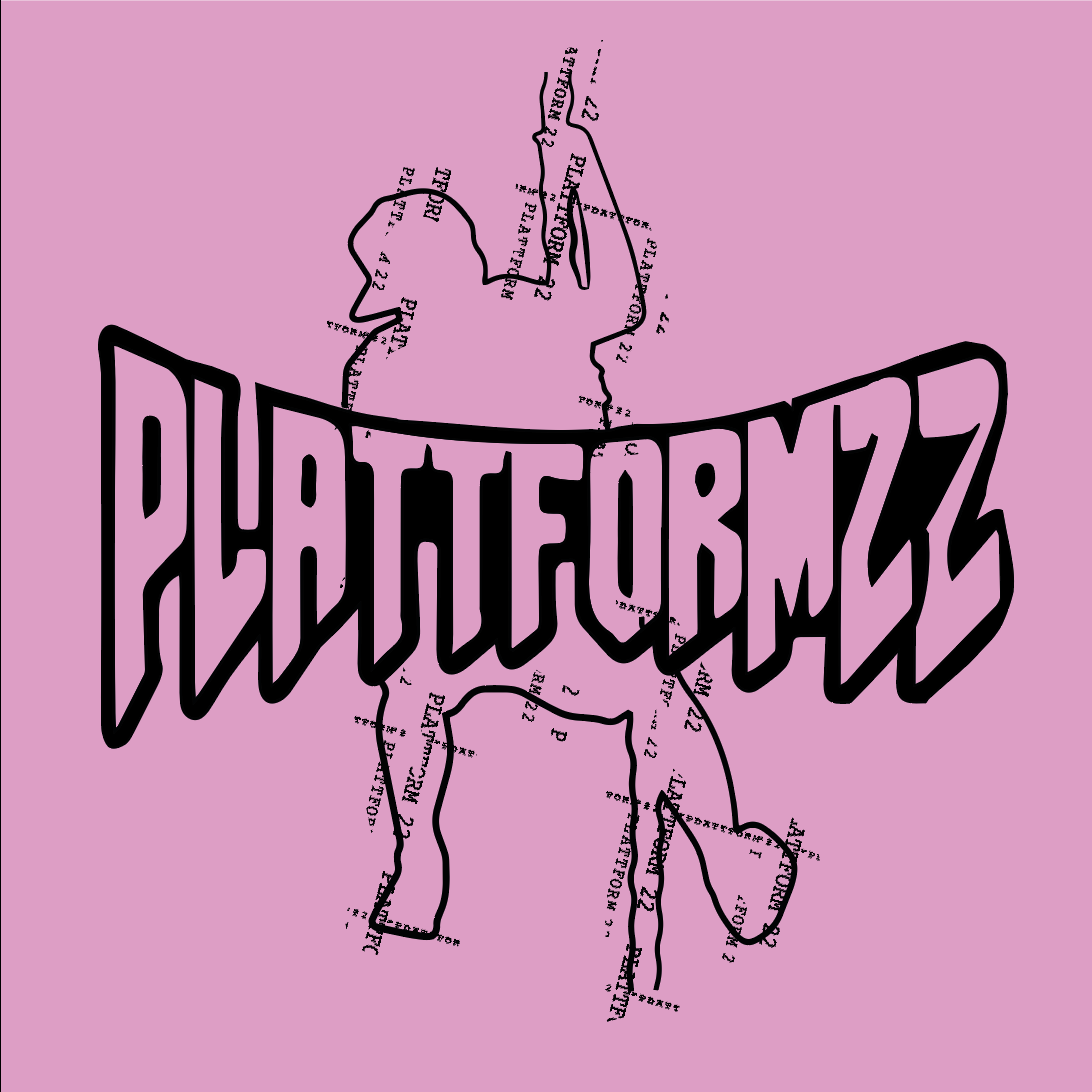 International Museum Day: Panel Discussion - Veranstaltung Liestal